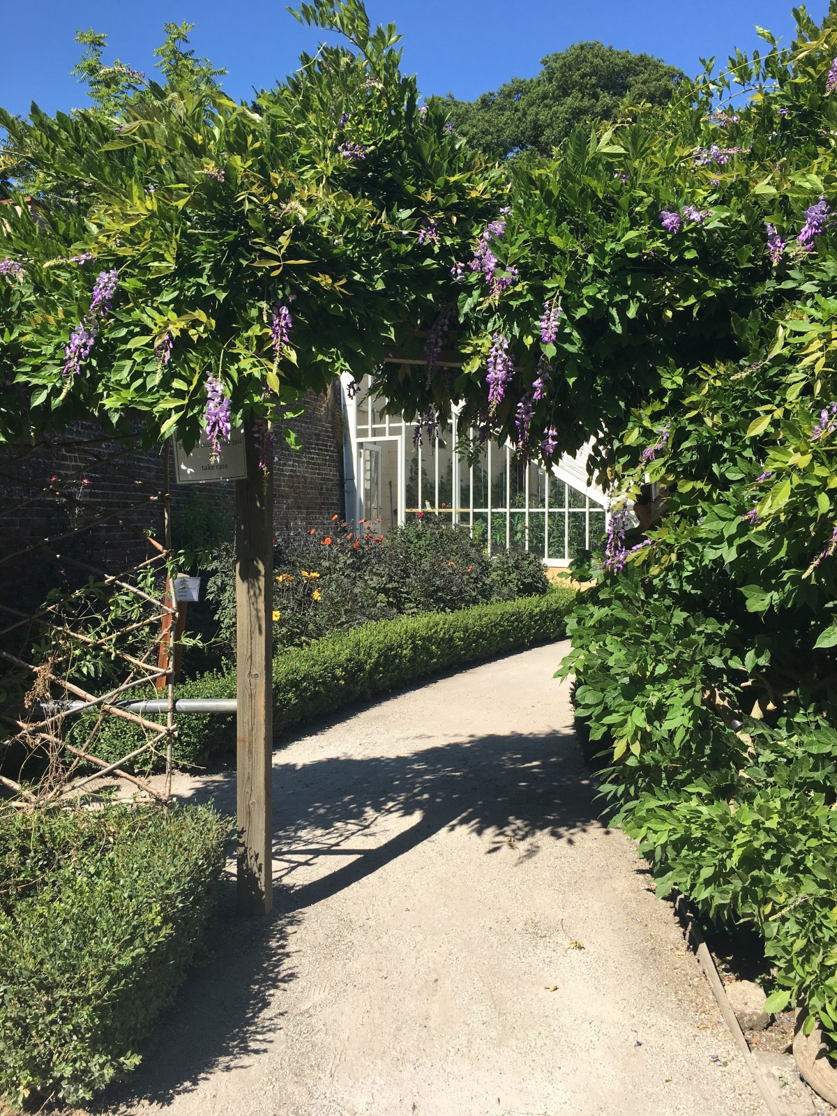 The Thames walk perfect for summer Sundays – Emirore